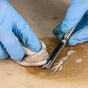 Trend Tool & Bit Cleaner: Industrial Strength Wood & Resin Remover, 18 fl oz, CLEAN/500