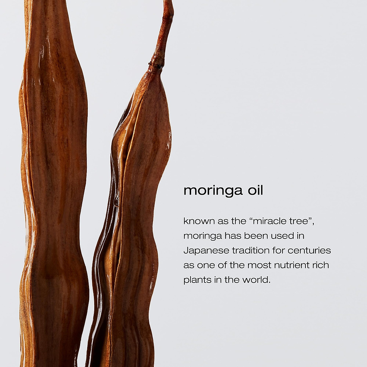 Shu Uemura Urban Moisture Deep Hydration Shampoo | Hydrating Shampoo for Dry Hair | Intensely Hydrates, Nourishes, and Cleanses | Reduces Frizz and Adds Shine