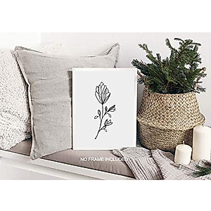 Botanical Plant Wall Art Prints, Minimalist Wall Art, Black and White Wall Art, Plant Wall Decor, Bathroom Wall Decor, Kitchen Wall Decor (Set of 6, 8X10in, Unframed)