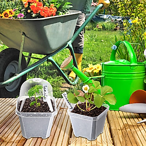 42 Pack 4 Inch Clear Plant Nursery Pot Sets with Humidity Dome and Drain Holes Include 20 Plastic Gardening Pot 20 Labels, 2 Marker Pen Seed Starting Container for Seedlings Vegetables Succulents