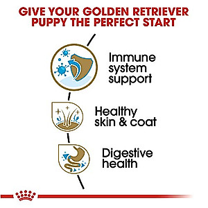 Royal Canin Breed Health Nutrition Golden Retriever Puppy Dry Dog Food, 30 lb