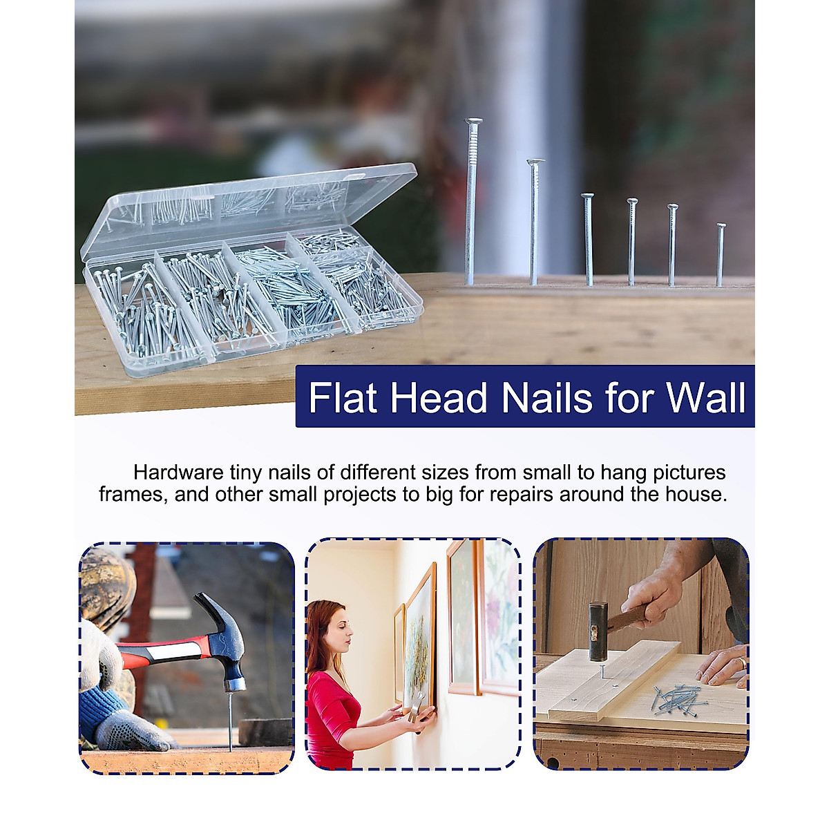 Eujqo Nails for Hanging Pictures Small Nails Picture Hanging Nails 700Pcs Finishing Nails Hardware Nails for Wall Wood Nails