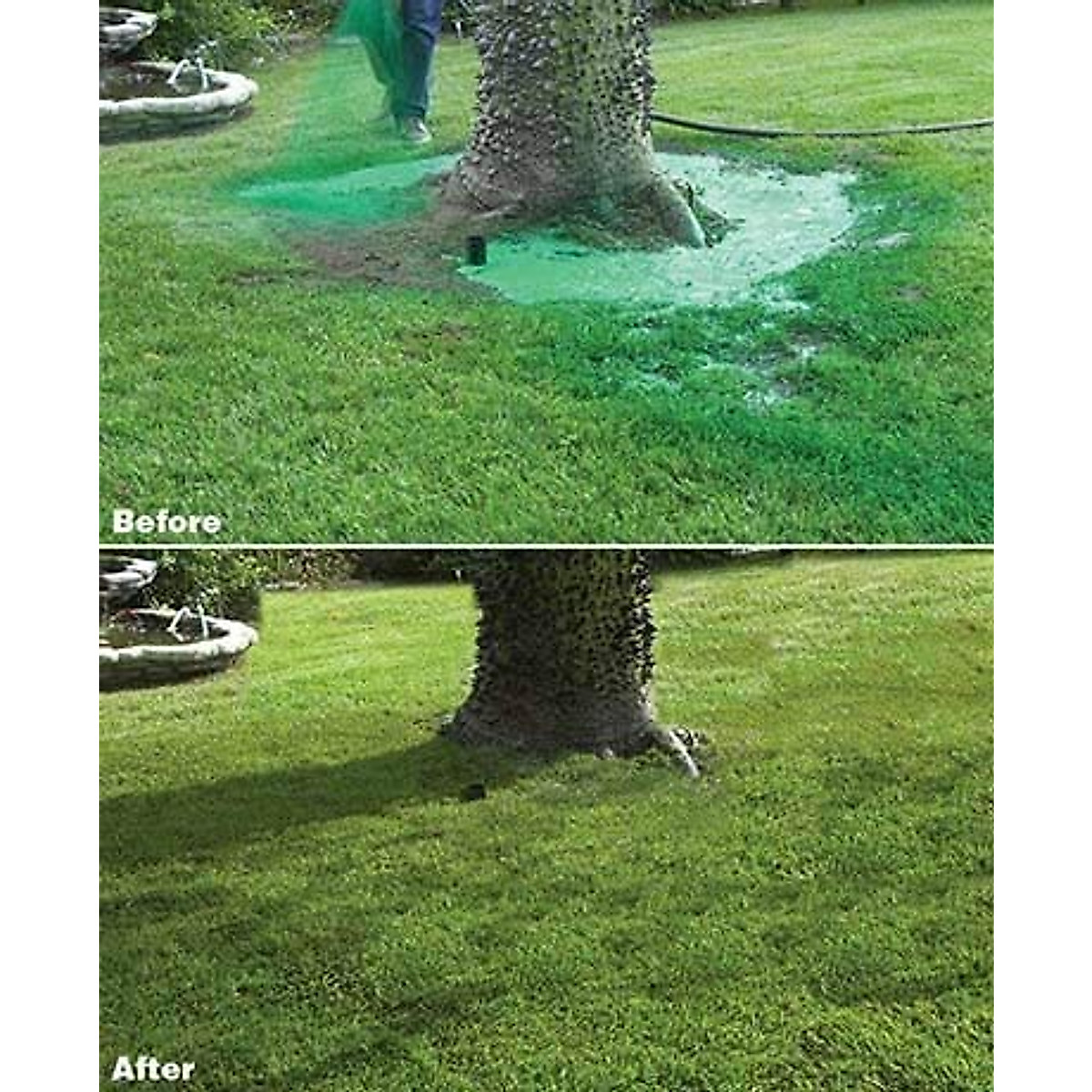 Hydro Mousse Liquid Lawn System - Grow Grass Where You Spray It - Made in USA