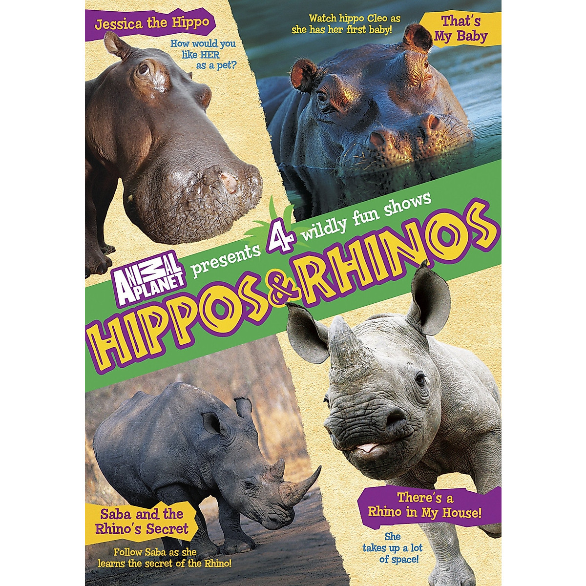 Hippos & Rhinos