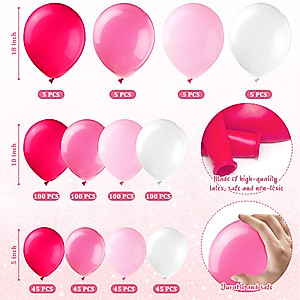 600 Pcs Pink Balloons Different Sizes Latex Balloons 18/10/ 5 Inch Gradient Pink and White Balloons DIY Balloon Arch Garland Kit for Wedding Bridal Shower Engagement Party