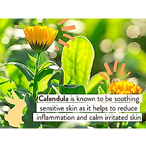 Babo Botanicals Sensitive Baby Fragrance-Free 2-in-1 Bubble Bath & Wash - Shea Butter, Calendula & Oat - Vegan - EWG Verified - For Babies & Kids