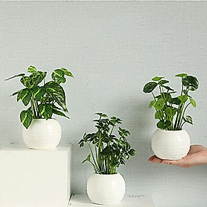 Classic Artificial Plants Decor Fake Plant Mini Artificial Green Potted Artificial Plant with Potted Desk Home Bedroom Bathroom Rack Farmhouse Office Table House Window Sill Decoration Fake Potted Pla