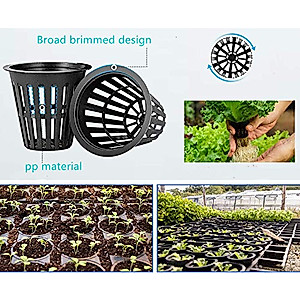 IPXEAD 100PCS 2 Inch Garden Slotted Mesh Net Cups, Round Heavy Duty Net Cups Pots for, Hydroponics Slotted Mesh…