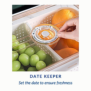 STERLING HOME ESSENTIALS Time Lock Drain Basket (SHETLBS1M1)