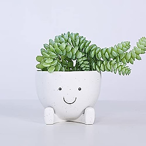 AIMEBBY Face Flower Pot Face Head Planter for Indoor Plants Succulent Planters with Drainage Hole Resin Planter 4 Inches