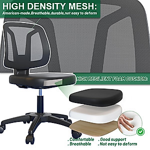 Armless Mesh Small Computer Office Desk Chair for Home with Lumber Support and Adjustable Height for Child and Adult