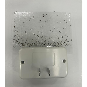 Cube-Shaped UV Light Fruit Fly Trap Sleek Design Plug-in Fly Trap for Flies, Fruit Flies (2 Device with 10 Refill Cards)