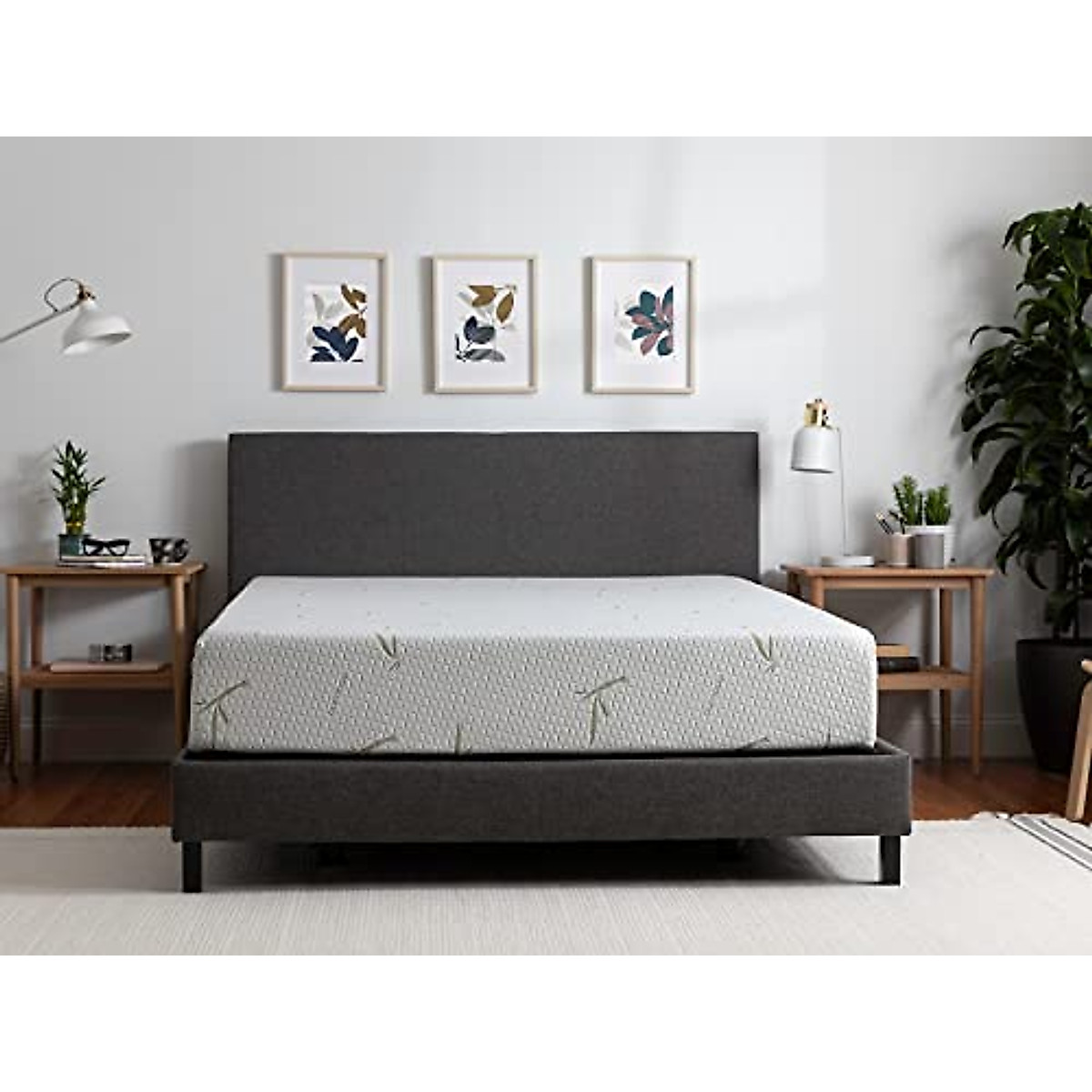 Tulo 10" Medium-Plush Memory Foam Bamboo Pressure Relief Mattress in a Box | Queen Size