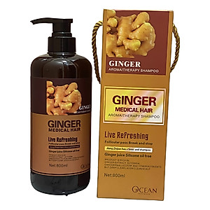 GINGER Medical Shampoo & Conditioner Set (Shampoo & Conditioner), 2.2 pounds, 27.0 Fl Oz