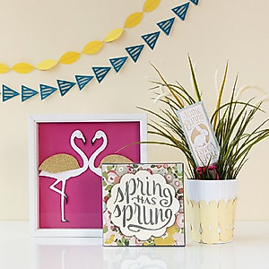 Cricut Projects Cartridge, Home for Spring and Summer Holidays