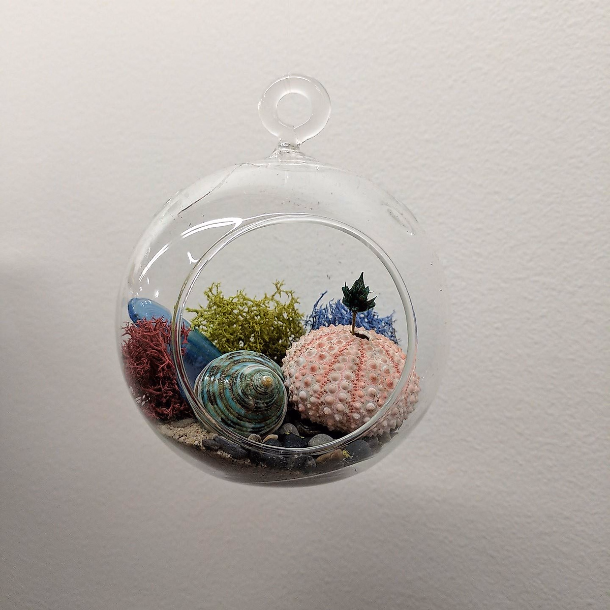 WGV Hanging Terrarium Globe, Width 8", Height 9", DIY Air Succulent Planter, Clear Glass Vase Orb with Flat Bottom, Candle Holder for Windowsill Outdoor Garden Decor, 6 Pieces Bulk