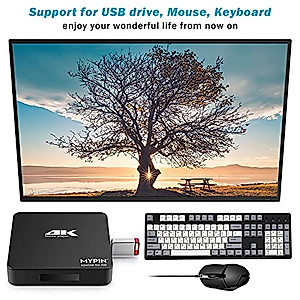 4K@60hz MP4 Media Player Support 8TB HDD/ 256G USB Drive/SD Card with HDMI/AV Out for HDTV/PPT MKV AVI MP4 H.265-Support Advertising Subtitles/Timing, Networkable, Mouse&Keyboard Control