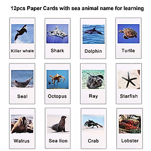 12 pcs Ocean Sea Animal Figures with 12pcs Matching Cards - OOTSR Ocean Creatures with Flash Cards for Education, Insect Themed Party, Playtime and Treasure Hunt