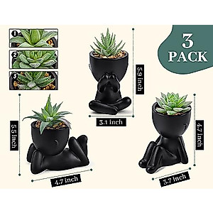 Der Rose 3pcs Fake Succulents Plants Artificial for Bathroom Bedroom Home Room Decor Aesthetic Indoor