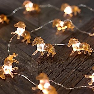 Fairy Pony String Lights Unique Decorative Lights Horse Gifts for Girls Cute Lights 20LEDs 8ft Battery Operated for Birthday Horse Lover Xmas Thanksgiving Decor