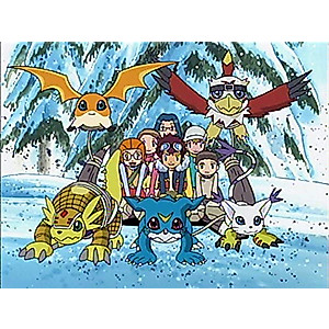 Digimon Adventure - Staffel 2.1 (Ep.1-17) ohne Schuber (3 DVDs)