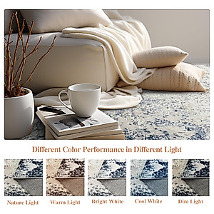 Area Rug for Living Room: Machine Washable Rugs for Bedroom 5x7 Indoor Abstract Rug Low Pile Dining Room Rug Non-Slip Farmhouse Area Rug Stain Resistant Office Rug - Beige Blue