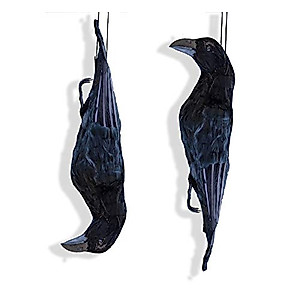 Dead Crow Scare Kit - 2 Dead Crow Bird Deterrents & Bird Distress Calls cd