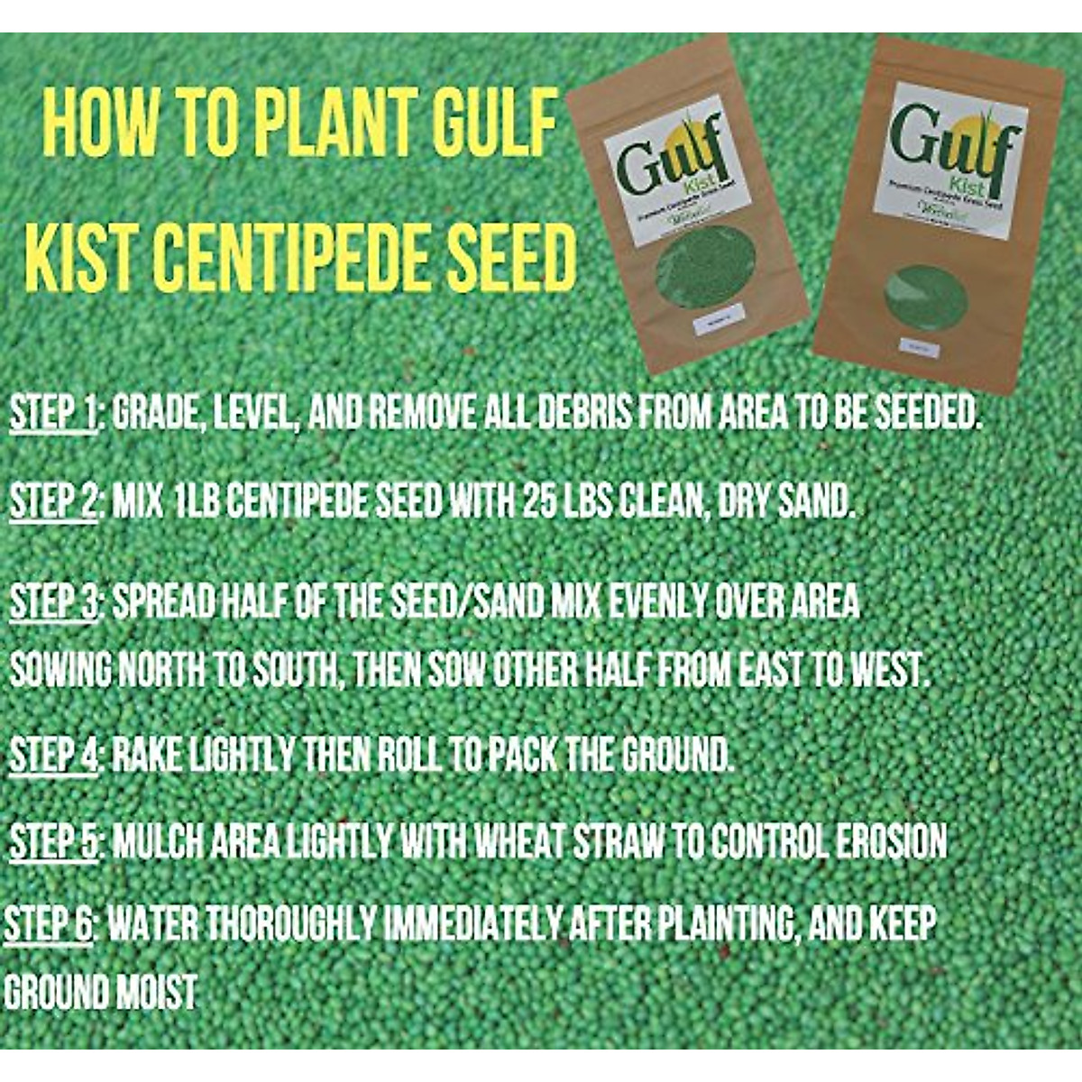 Centipede Grass Seed for a Dense Green Lawn, NO Mulch, 1 lb Coated Seeds, Sun and Moderate Shade Tolerant Lawn Seeding and Turf Patch Repair, Southern Southeast US, Low Fertilizer Low Maintenance