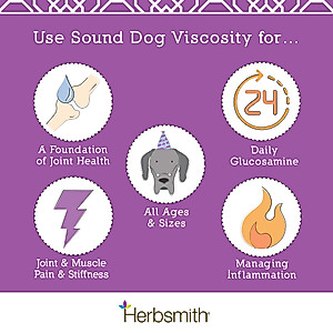 Herbsmith Sound Dog Viscosity – Advanced Joint Support for Dogs – Veterinarian Recommended Glucosamine for Dogs, Hyaluronic Acid, Chondroitin, MSM – Natural Arthritis Pain Relief – 60ct Large Chews
