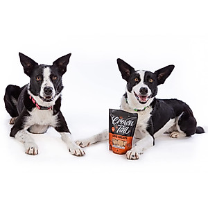 Crown to Tail Halloween Jack-O-Lantern Soft Chew Dog Treats, 6oz.