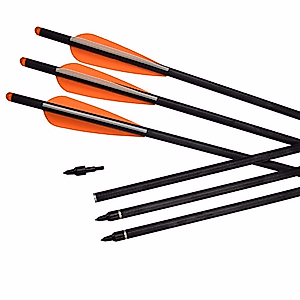 Archery 16inch Hunting Archery Carbon Arrow Crossbow Bolts with 4" vanes Feather and Replaced Arrowhead/Tip(Pack of 12