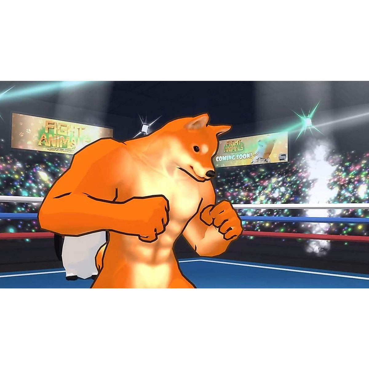 Fight of Animals - Nintendo Switch