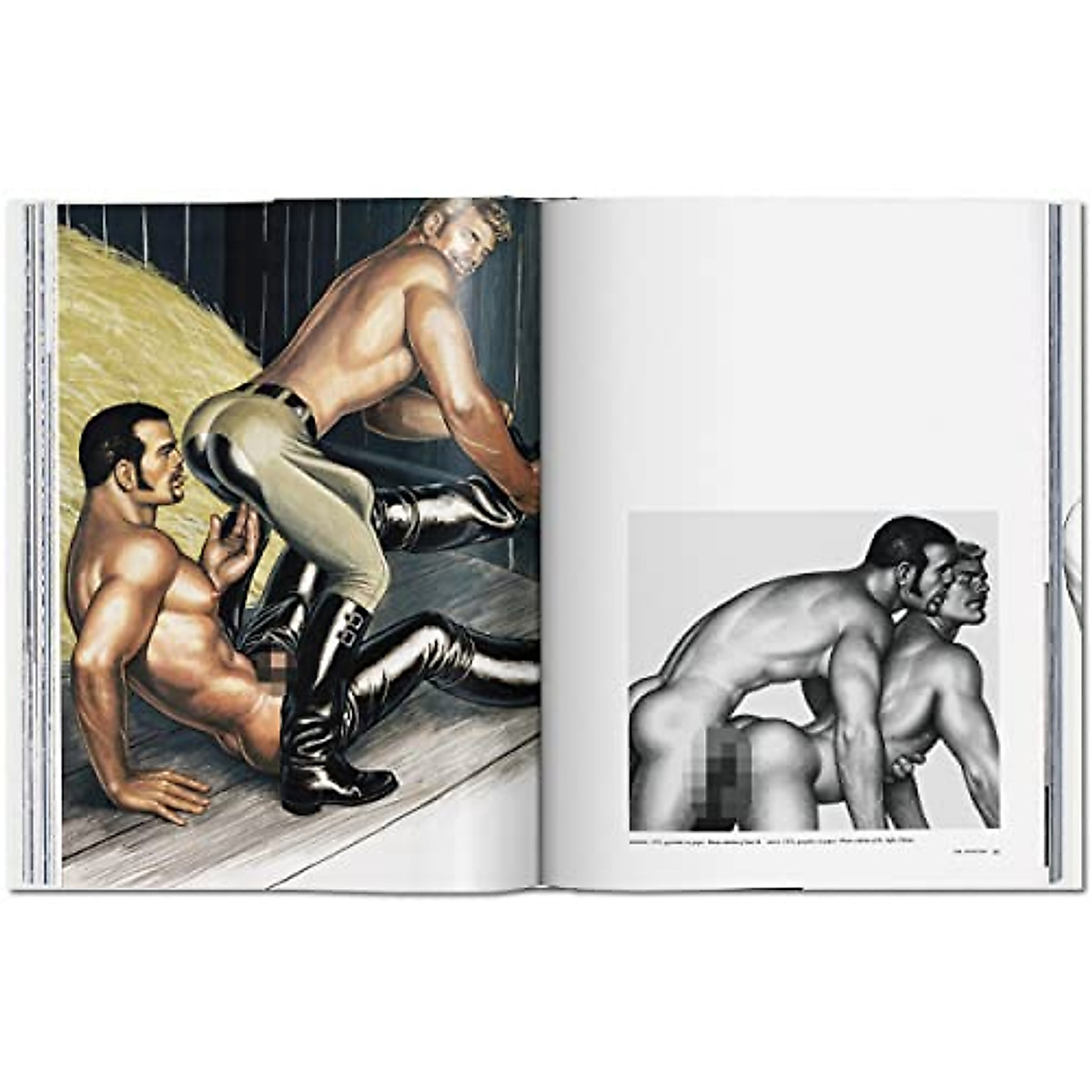 Tom of Finland: Xxl