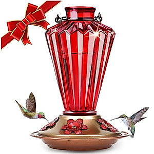 BOLITE Hummingbird Feeder, 18017R Hummingbird Feeders for Outdoors Hanging, Diamond Shape Bottle for Outside, 20 Ounces, Red, Xmas Gifts for Bird Lovers