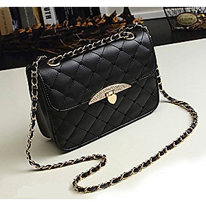 123Arts Chain Strap Iron Replacement Strap Handbag Shoulder Strap Bag Accessories with Drawstring Bag