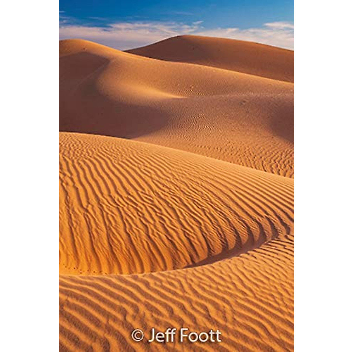 Sierra Club Engagement Calendar 2021