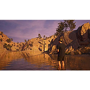 The Catch: Carp & Coarse - Collector's Edition (PS4)