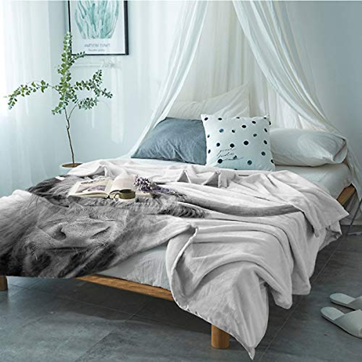 Clouday Flannel Fleece Bed Blanket Soft Throw-Blankets for Sleep,Grey Animal Highland Cow Pattern,Lightweight Baby Blankets for Bedroom Living Room Sofa Couch,49x59 Inch
