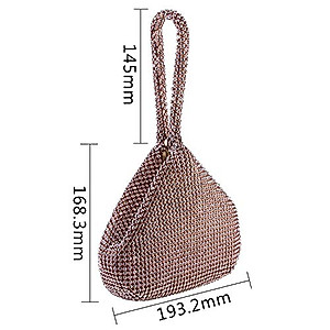 CROWN GUIDE Women's Vintage Evening Bags Clutches Bling Beaded Wedding Party Gowns Formal Prom Purses Handbags With Wristlet Champagne