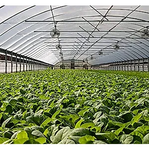 Garden Netting Pest Barrier: 4'x10'(2 Pack) Fine Bug Netting for Garden Protection Row Cover Raised Bed Screen Mesh Greenhouse Mosquito Net, Protecting Tree Plants Vegetable Flowers Fruits