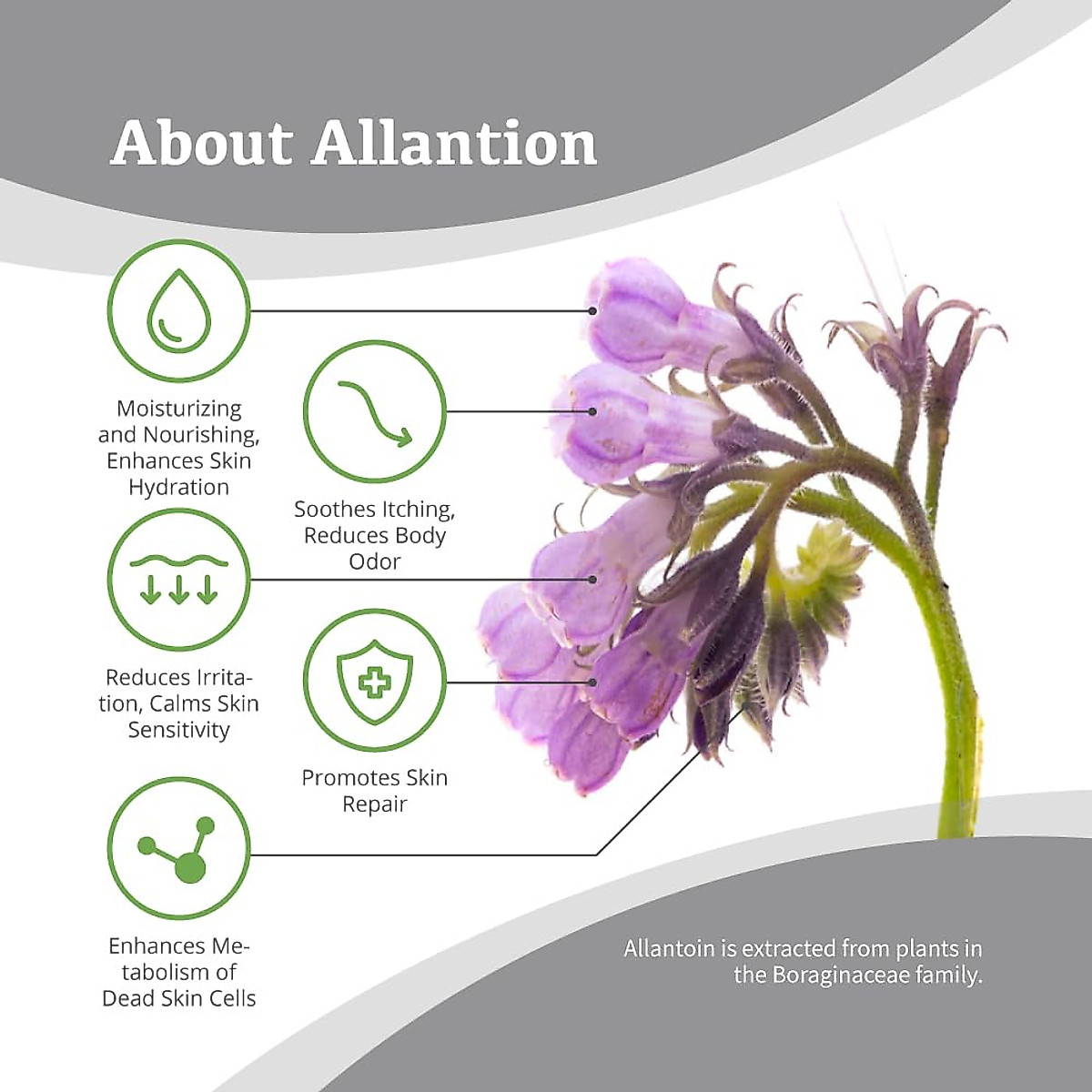 PROUDPET Bamboo Charcoal Pet Toothpaste. Effectively removes Oral Odor and Reduces The Chance of Calculus and Plaque Formation.