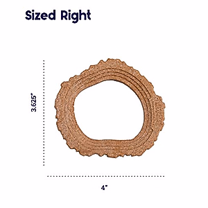 Petstages Dogwood Ring Dog Chew Toy, Small