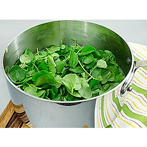 200+ Watercress Seeds Heirloom Non-GMO Delicious Superfood! Easy to Grow! from USA