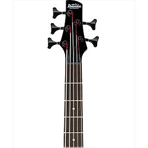 Ibanez 5 String Bass Guitar, Right, Walnut (GSR205BWNF)