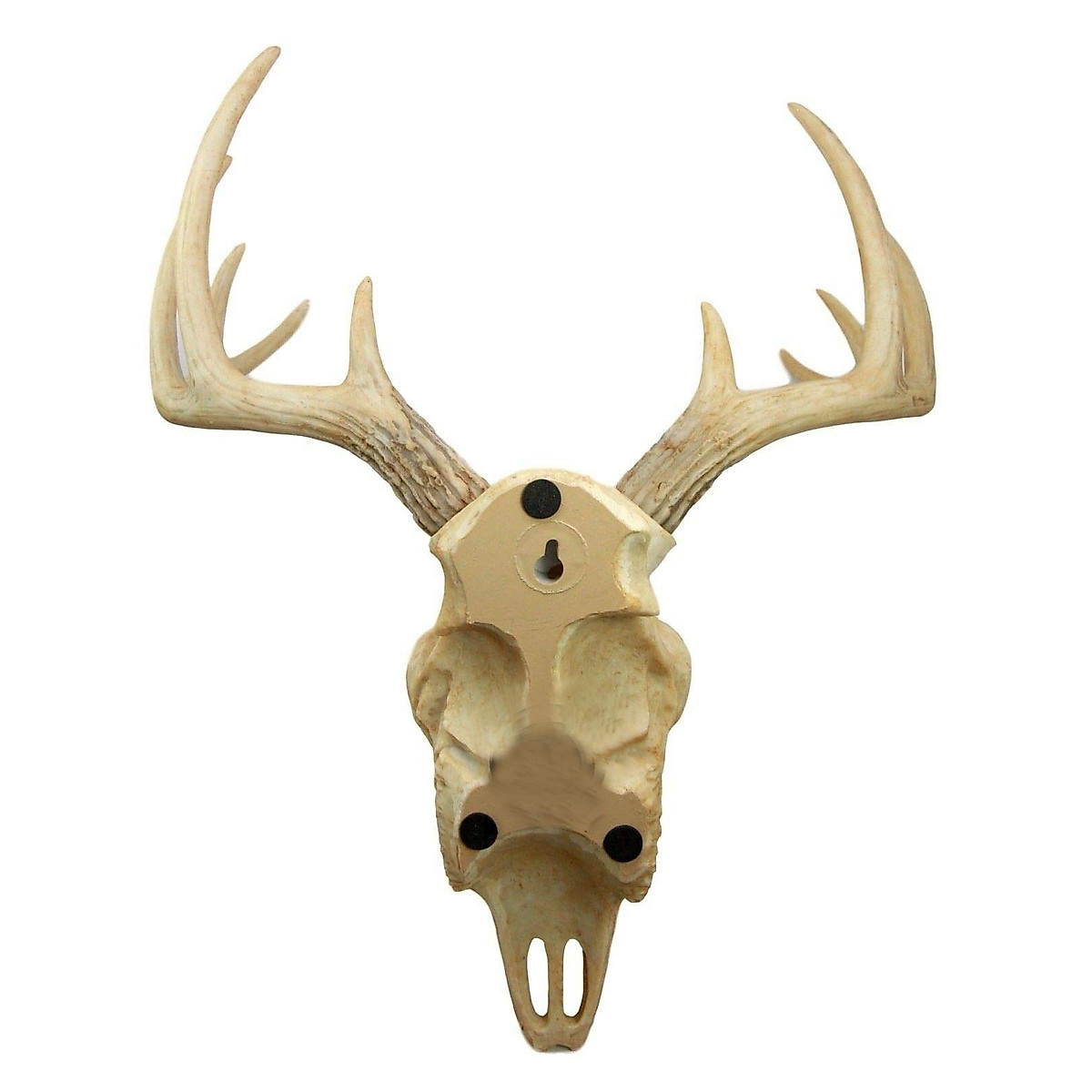 Ebros Gift Rustic Hunter Deer 10 Point Buck Skull Trophy Antlers Wall Mounted Plaque Trophy Decor Figurine 14.25" Long Hunter's Antler Rack Theme Deers Bucks Hunting Skulls Trophies Hanging Sculptures