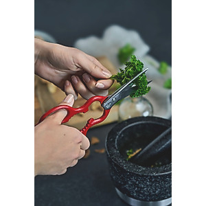 Zwilling 43923-200 Classic Cooking Scissors, Satin, Stainless Steel, Kitchen Scissors, Made in Germany