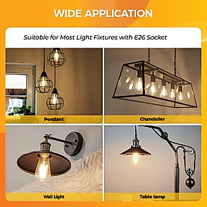 Hizashi LED Edison Bulbs, 6W, Equivalent 60W, E26 LED Bulb Non-dimmable, 3000K Soft White, 90+ CRI 700 Lumens, ST19 Vintage Light Bulbs, Clear Glass, Pack of 6