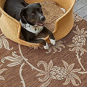 Gertmenian Indoor/Outdoor Kona Coast by Reyn Spooner Runner Rug - 2x6 Runner, Stain & UV Resistant, Ideal for Deck, Patio, Poolside Rooms - Pineapple, Brown, 46657