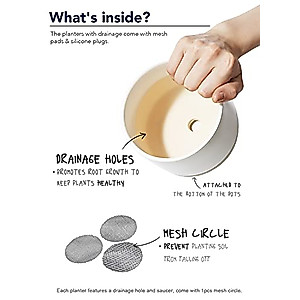 LE TAUCI Ceramic Plant Pots, 4.3+5.3+6.8 inch, Set of 3, Planters with Drainage Hole and Saucer, Indoor Flower Pot with Hole Mesh Pad, Gifts for Mom, White