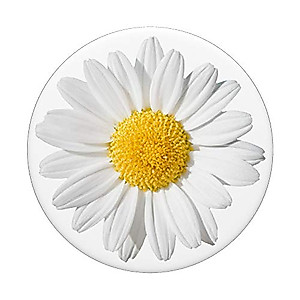 Cute White Daisy Flower Yellow So Pretty On White Background PopSockets PopGrip: Swappable Grip for Phones & Tablets